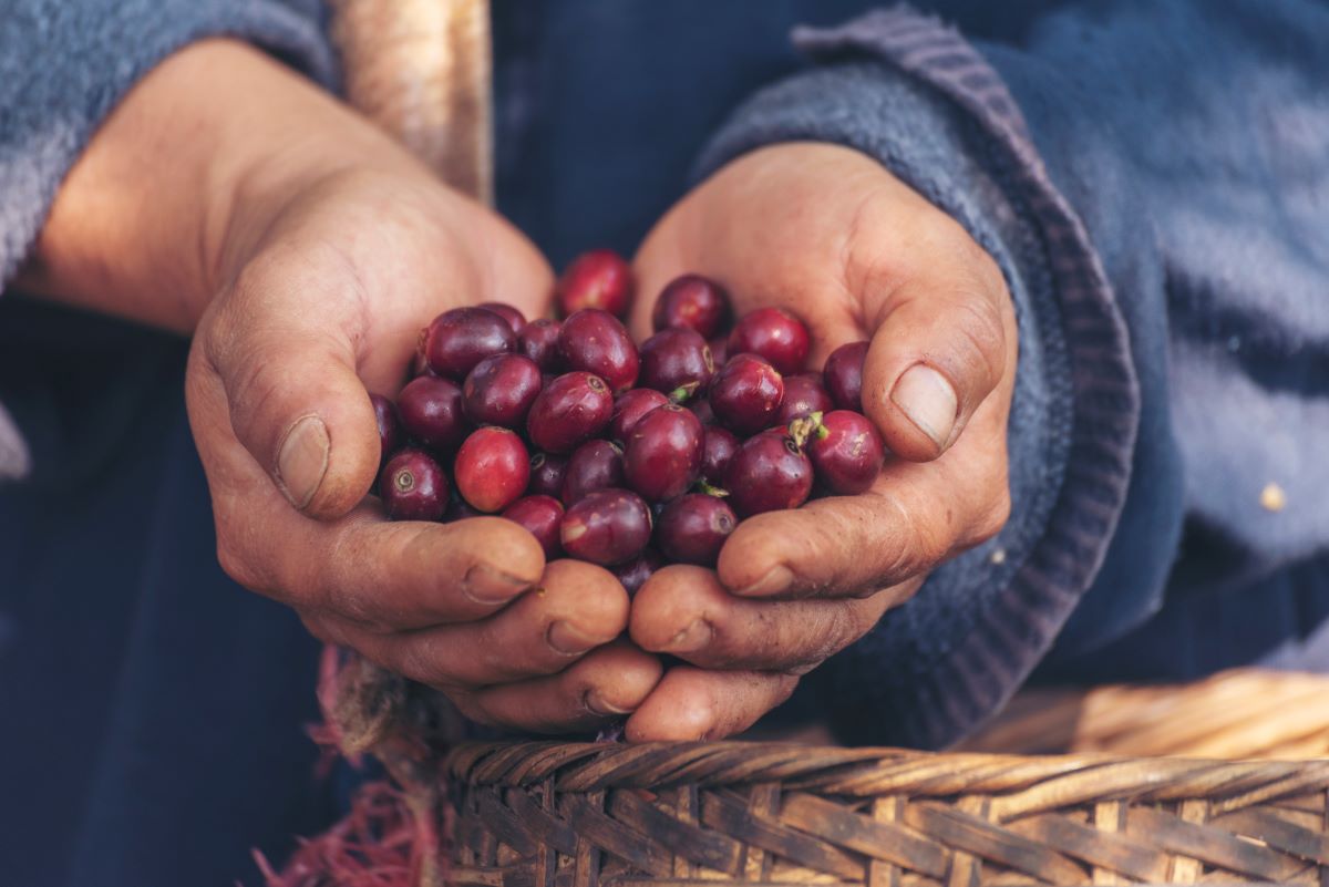 7 factors that influence the demand of consumer goods - NIQ