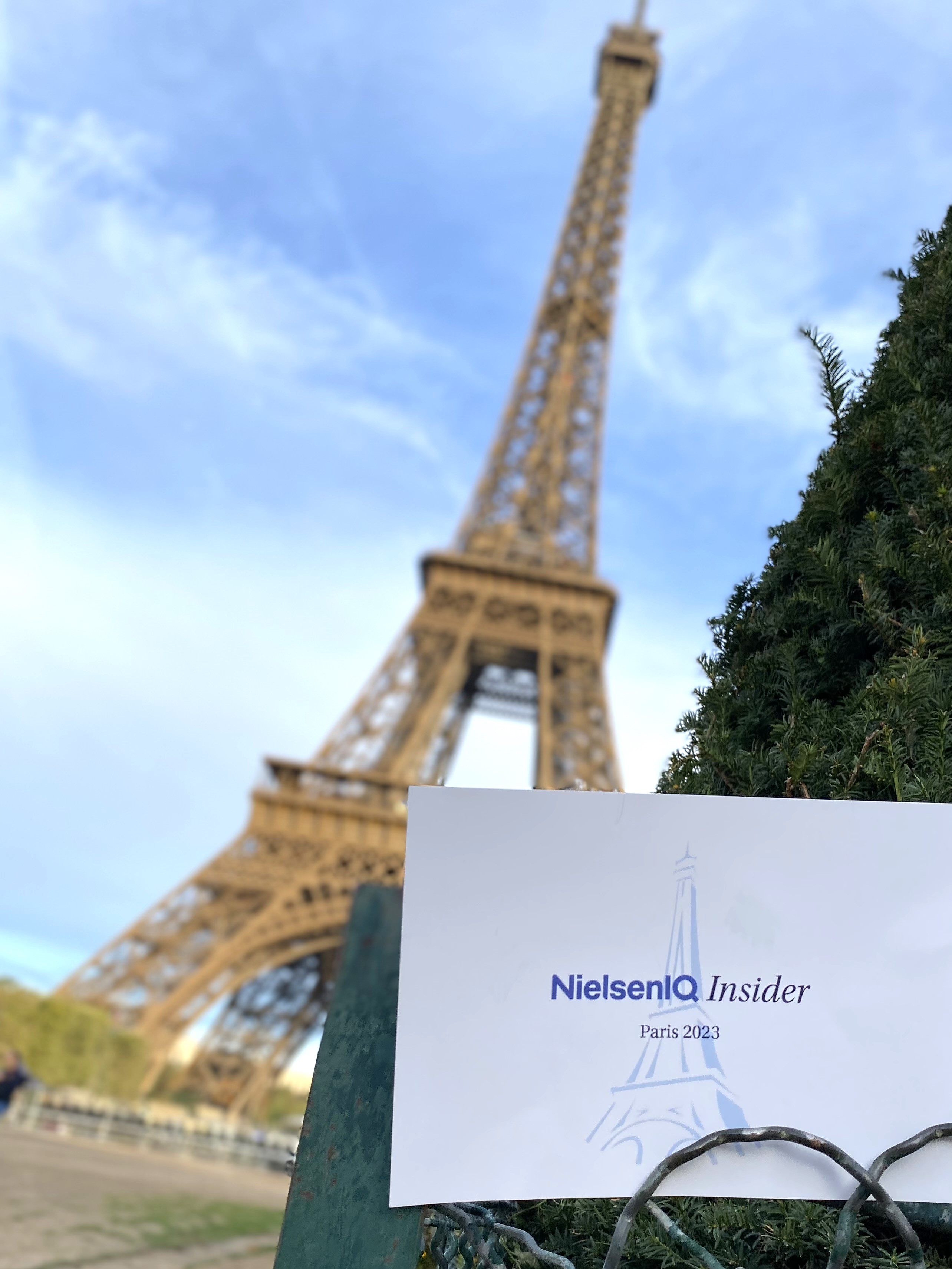 NielsenIQ Insider Program - NIQ