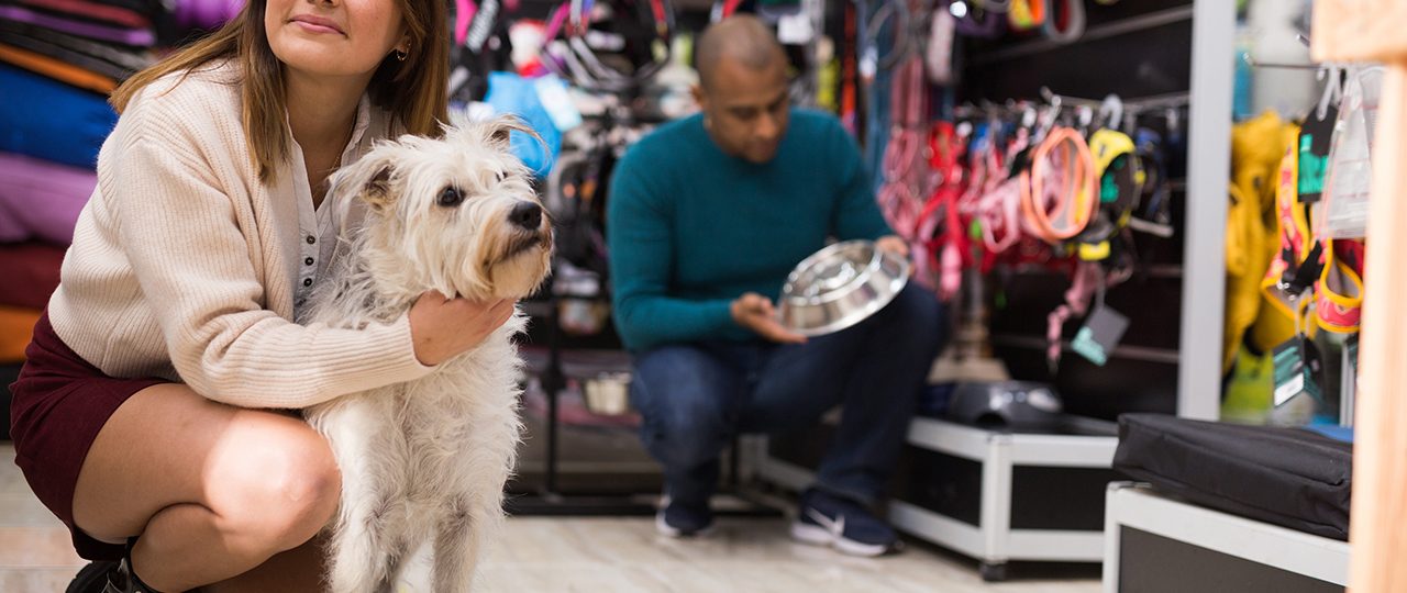 The State of Pet: The Full View of the Omni Pet Channel & Shopper - NIQ