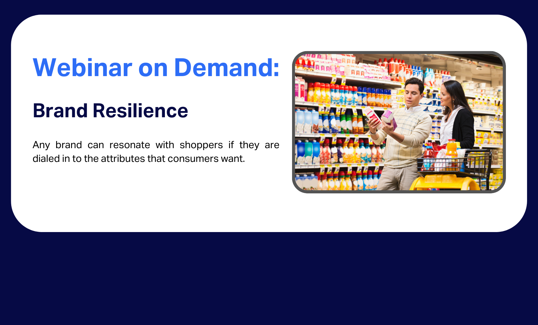 NIQ BASES home - NIQ