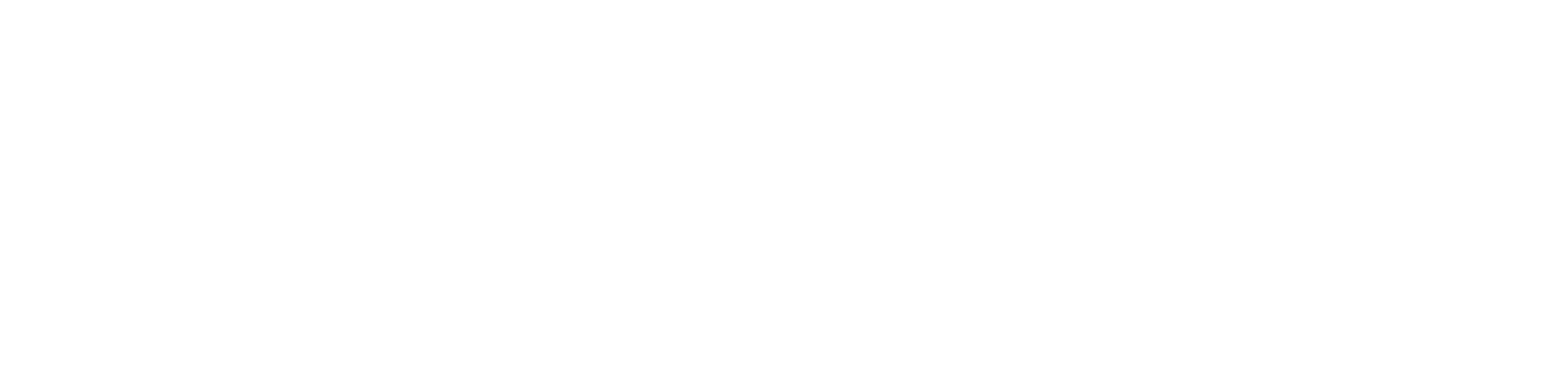 BASES System 1 - NIQ