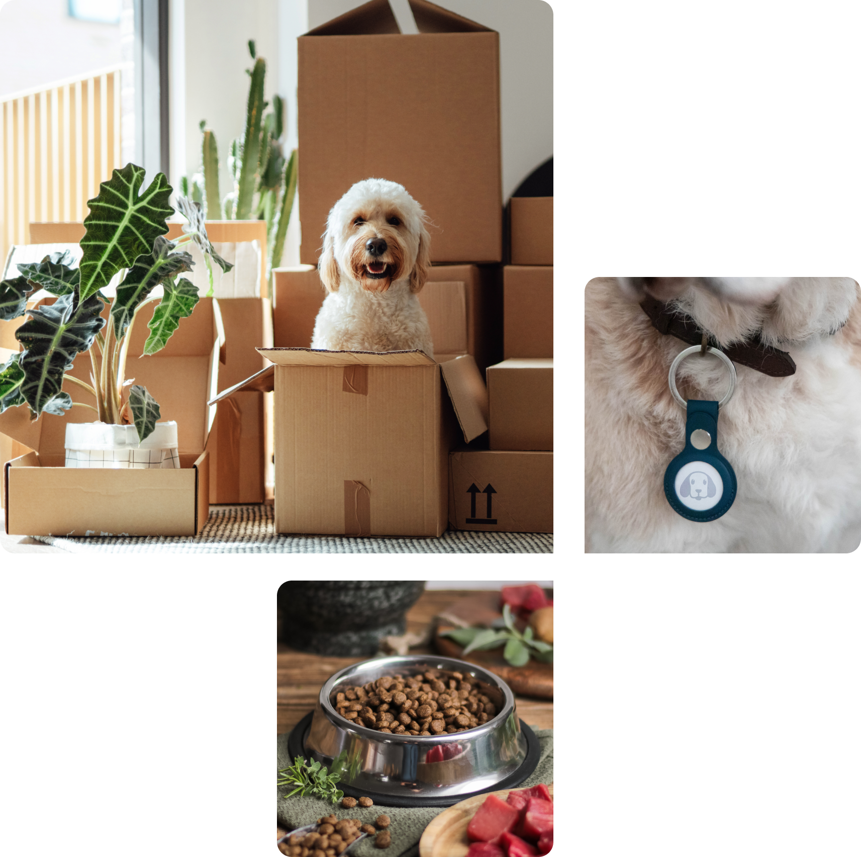 NielsenIQ and GfK offer the full view of consumer buying behavior - NIQ