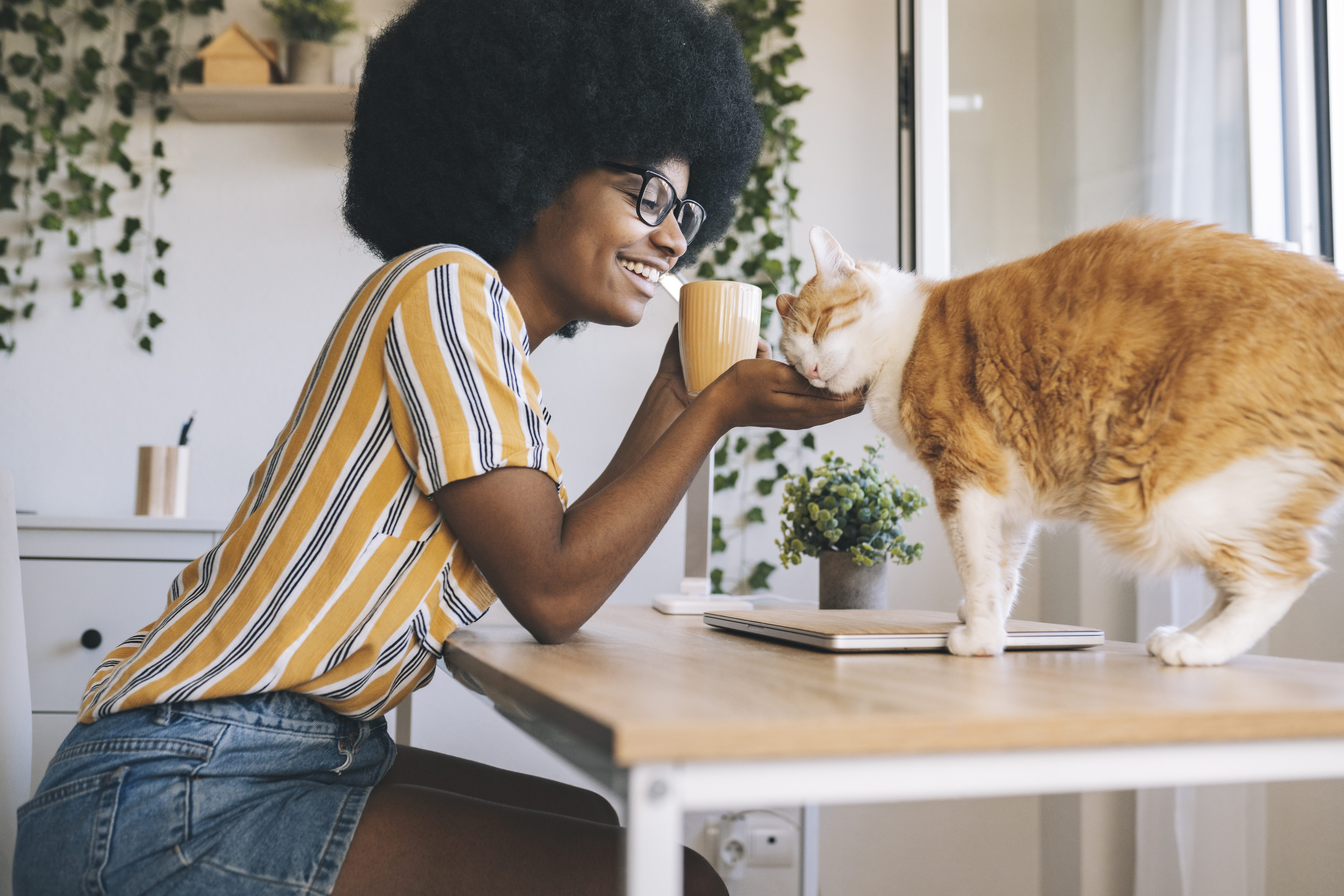 Full-View Pet Industry: Trends in Consumer & Product Data